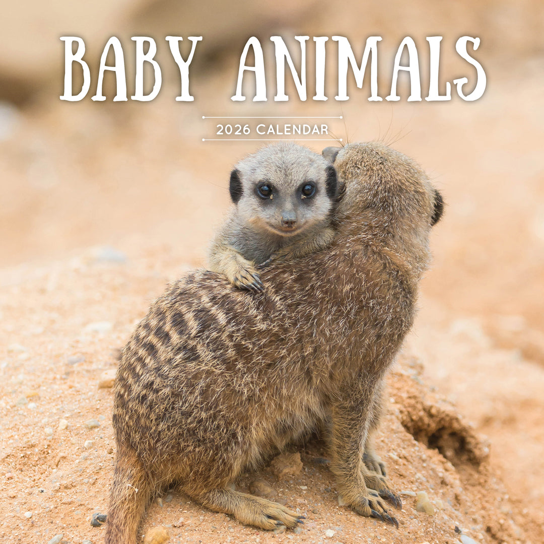 Baby Animals 2026 Calendar - Paper Pocket Calendars, Diaries and Gifts