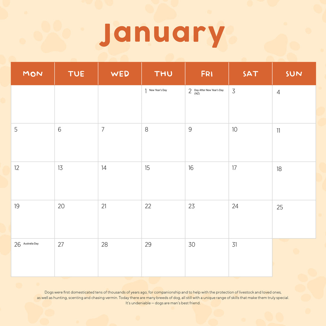 Cavoodle 2026 Calendar - Paper Pocket Calendars, Diaries and Gifts