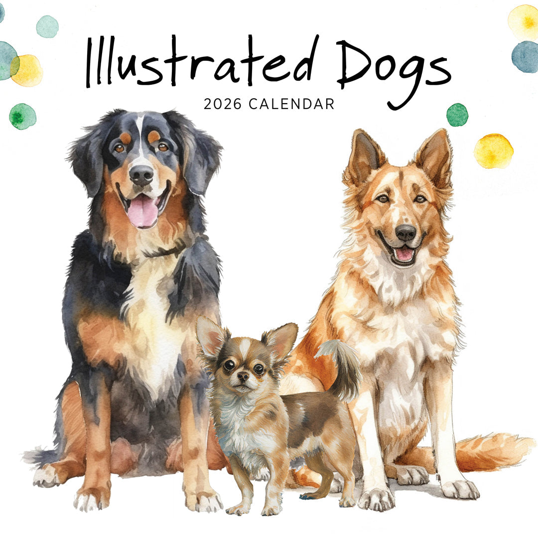 Illustrated Dogs 2026 Calendar - Paper Pocket Calendars, Diaries and Gifts