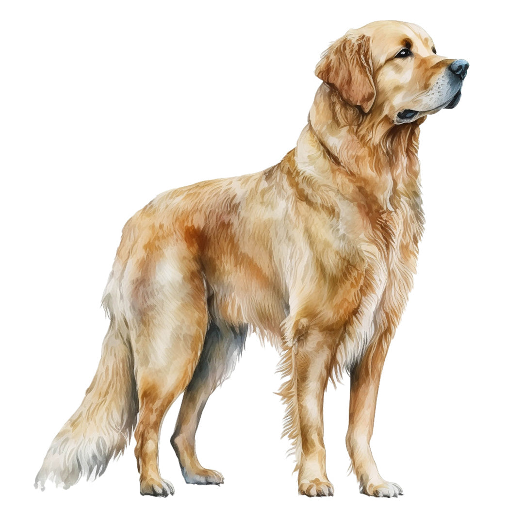 Illustrated Dogs 2026 Calendar - Paper Pocket Calendars, Diaries and Gifts