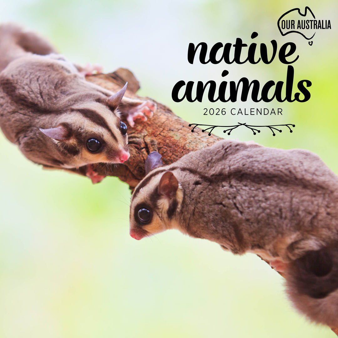 Our Australia Native Animals 2026 Calendar - Paper Pocket Calendars ...