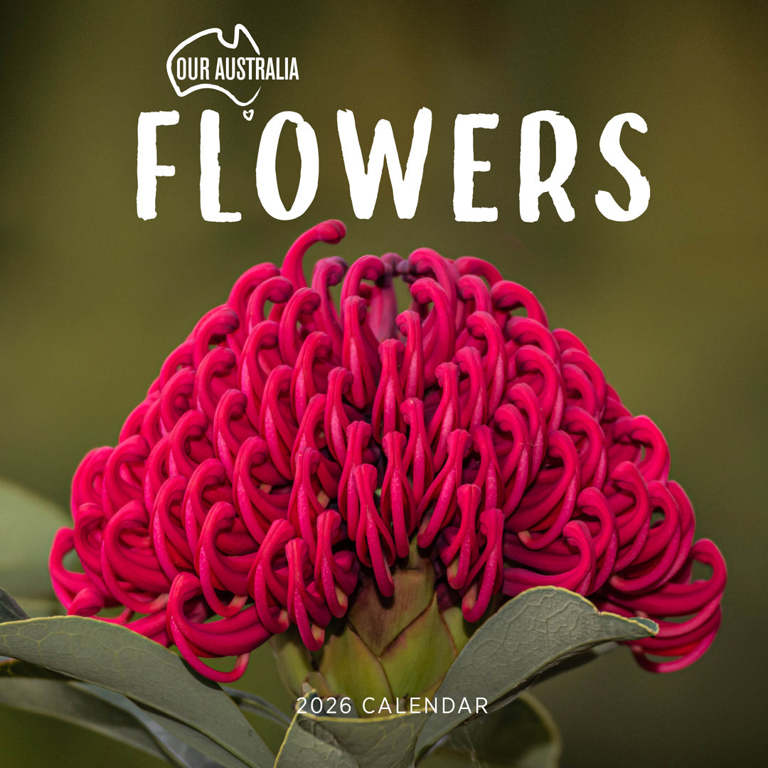 Our Australia Flowers 2026 Calendar - Paper Pocket Calendars, Diaries ...
