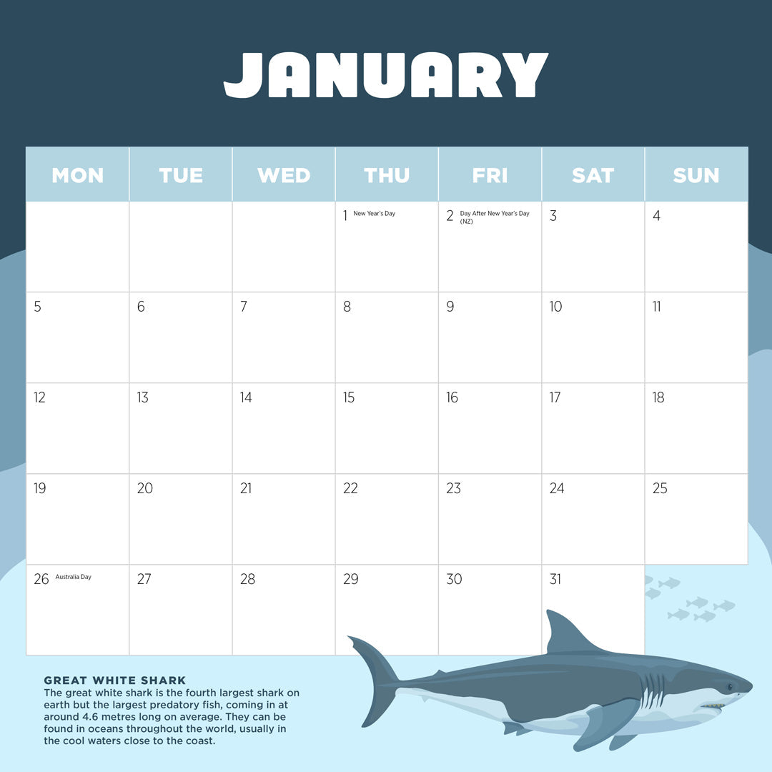 Sharks 2026 Calendar - Paper Pocket Calendars, Diaries and Gifts